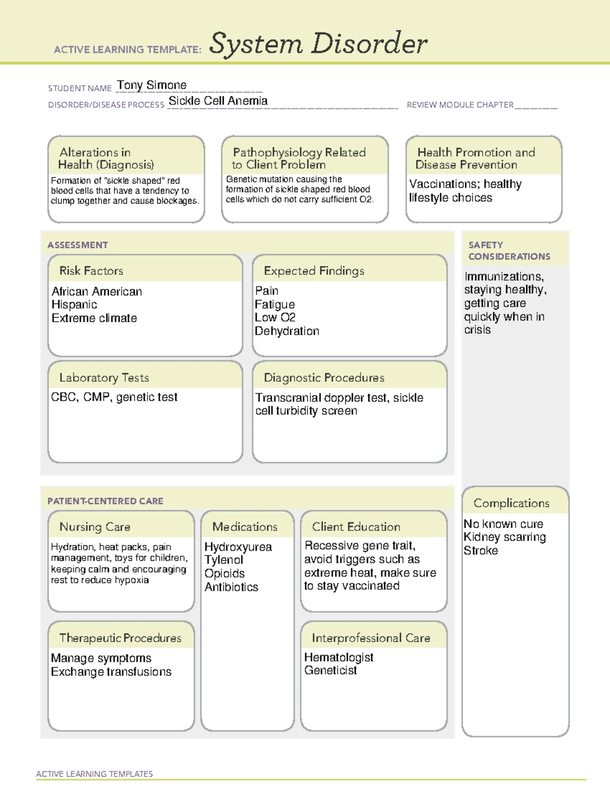 Diabetes Mellitus ATI System Disorder Template - ACTIVE LEARNING ...