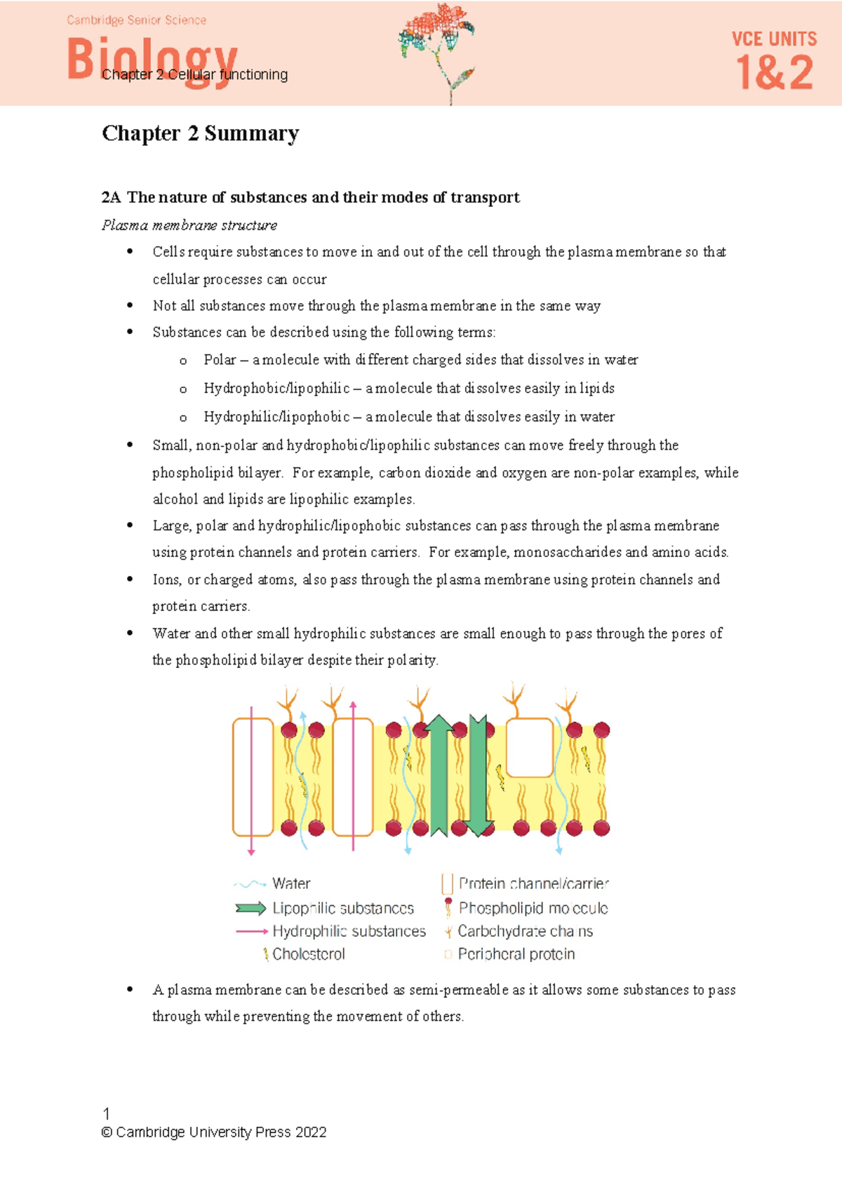 Biology 101: Chapter 2 Summary - Plasma Membrane & Transport Methods ...