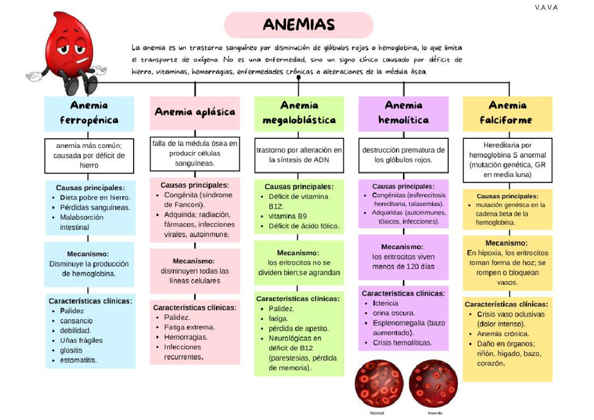 MAPA Conceptual de Anemia: Tipos y Causas (V.A.V.A) - Studocu