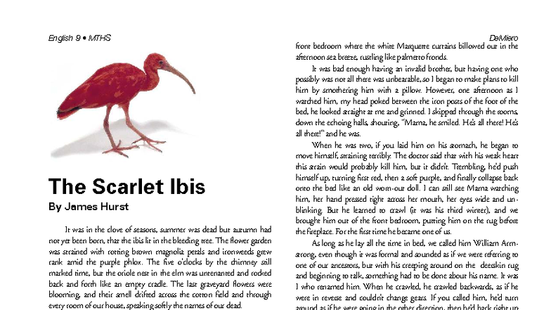 English 9 MTHS DeMiero: The Scarlet Ibis Analysis and Themes - Studocu