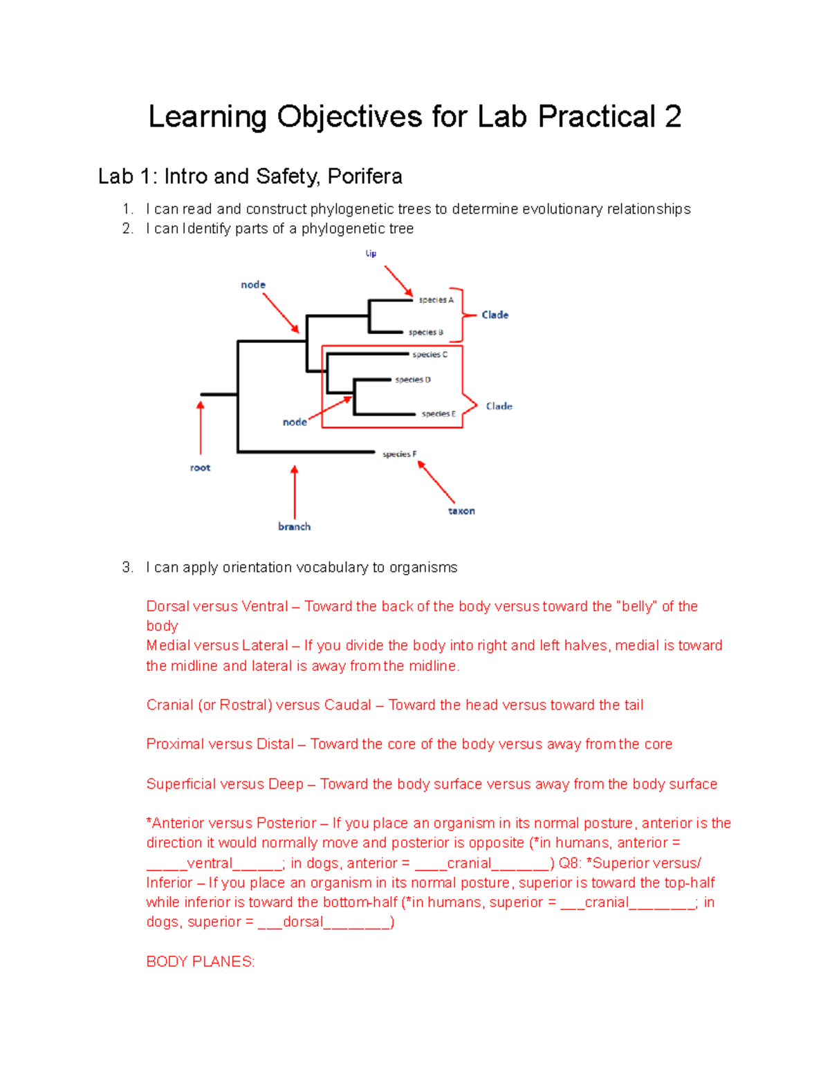 Learning Objectives for Biology Lab Practical II: Phyla Overview ...