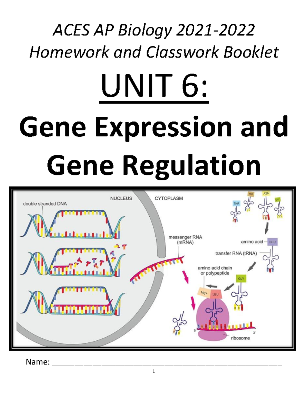 UNIT 6 GENE Expression AND Regulation Booklet 2022 - ACES AP Biology 2021- 2022 Homework and ...