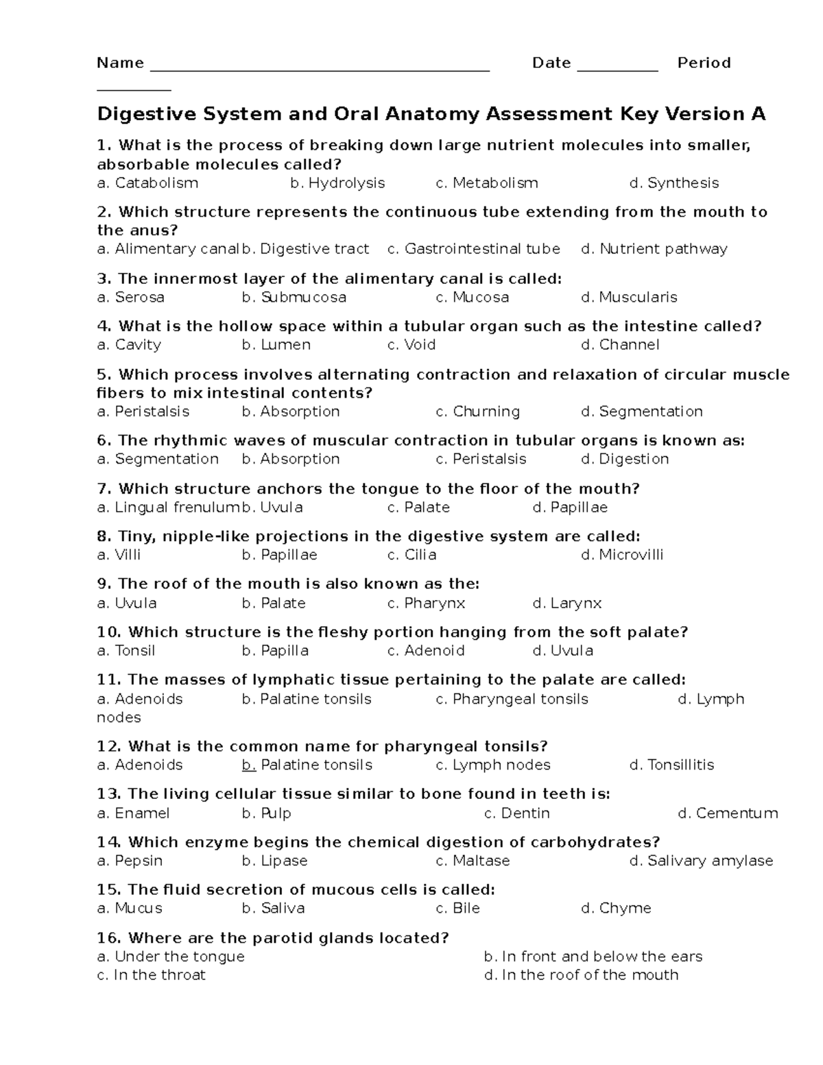 Digestive System Term Quiz (Version A & B) - Assessment Key - Studocu