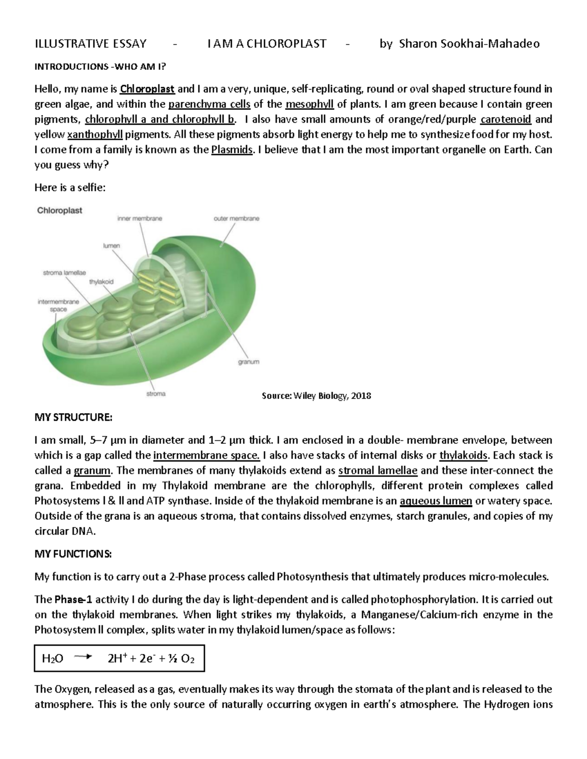 ILLUSTRATIVE ESSAY: I AM A CHLOROPLAST (BIO 101) - Studocu