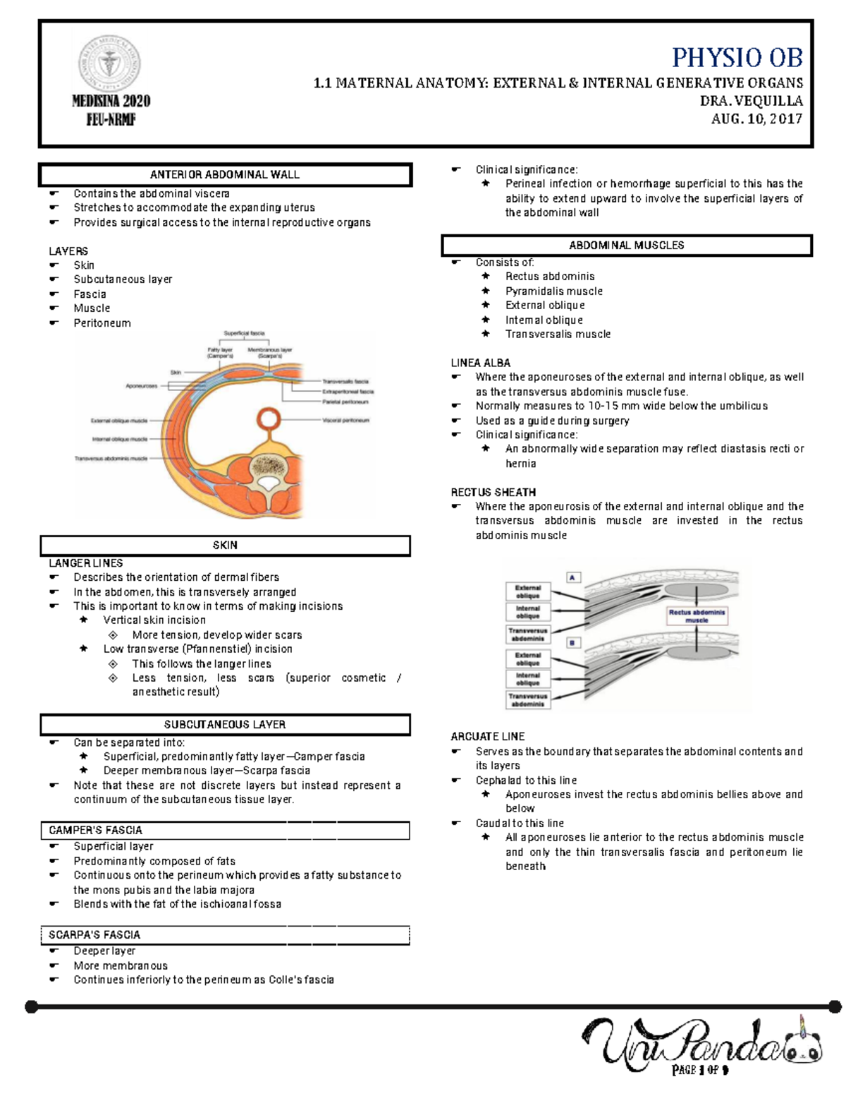 PHYSIO OB 1.1 MATERNAL ANATOMY: EXTERNAL & INTERNAL GENERATIVE ORGANS ...