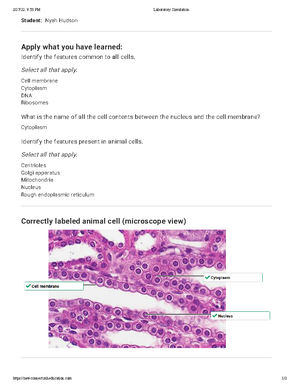 P H Balance - Antacids as Buffers - 1/30/22, 9:33 PM Laboratory ...