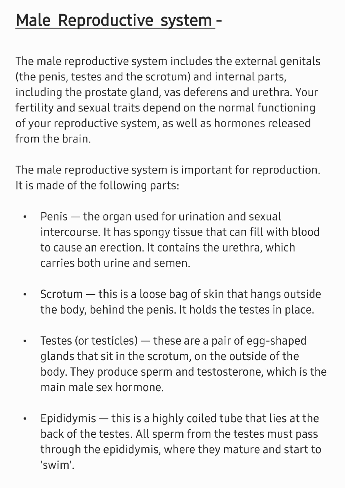 Male Reproductive System Overview - Notes 241109 115337 - Studocu