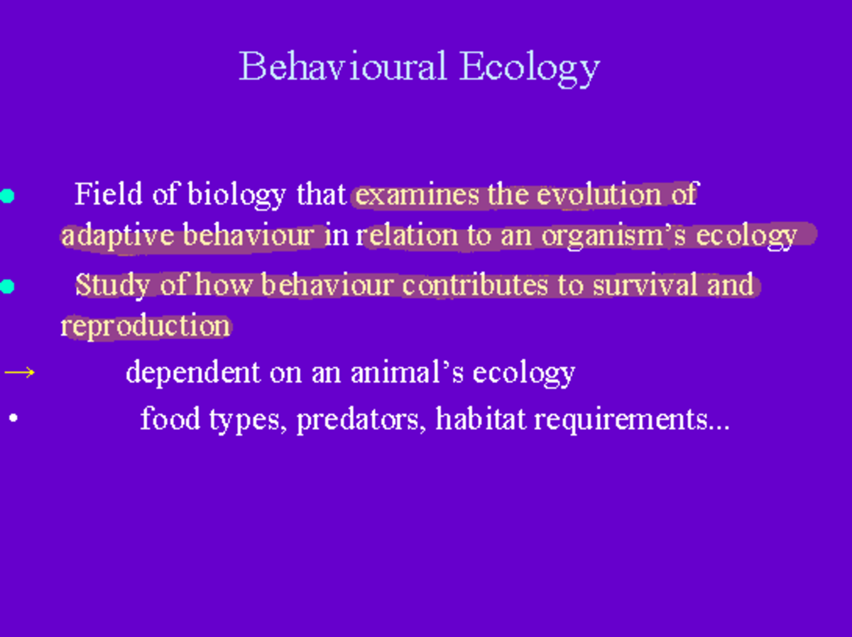 Behavioural Ecology: Course Intro & Ethology Overview - Lect 1 - Studocu