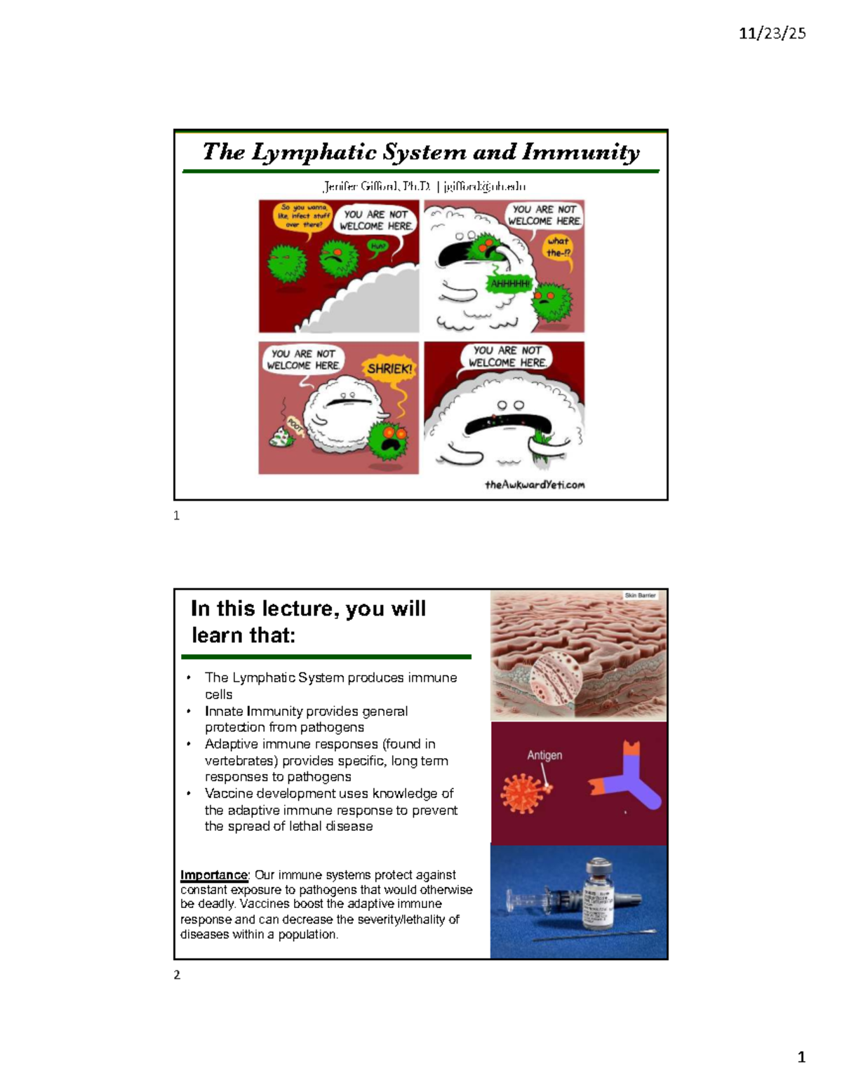 Lecture on The Lymphatic System and Immunity - Studocu