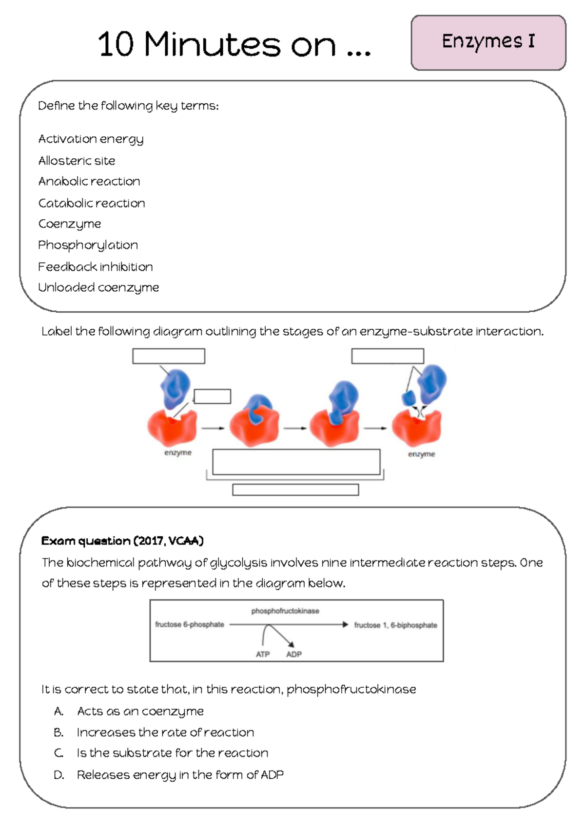 12 10mins Enzymes - Practice Questions & Key Terms Review - Studocu