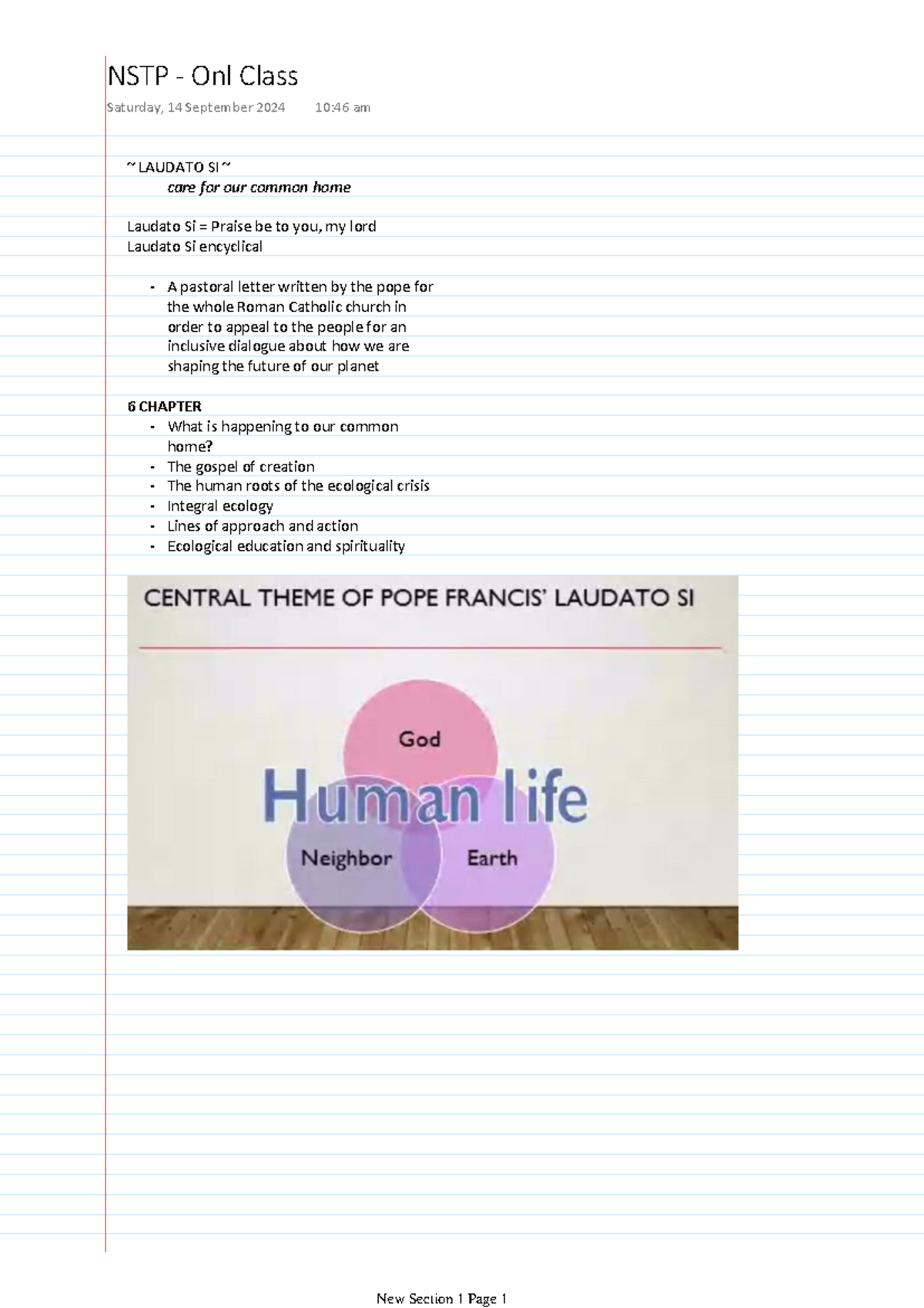 NSTP Lecture Notes: Laudato Si and Ecological Action - Studocu