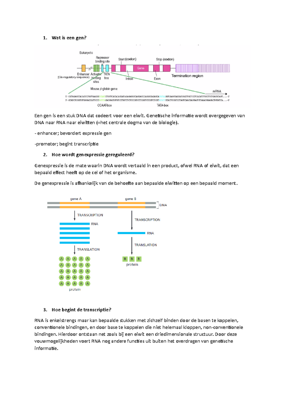 Transcriptie van Genexpressie: Taak 4 Inleiding & Verloop Analyse ...