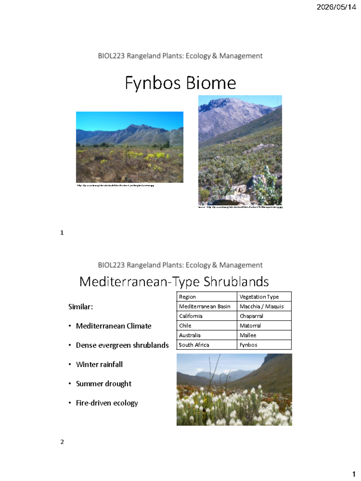 Fynbos Biome Overview: Ecology, Climate, and Management (2026) - Studocu