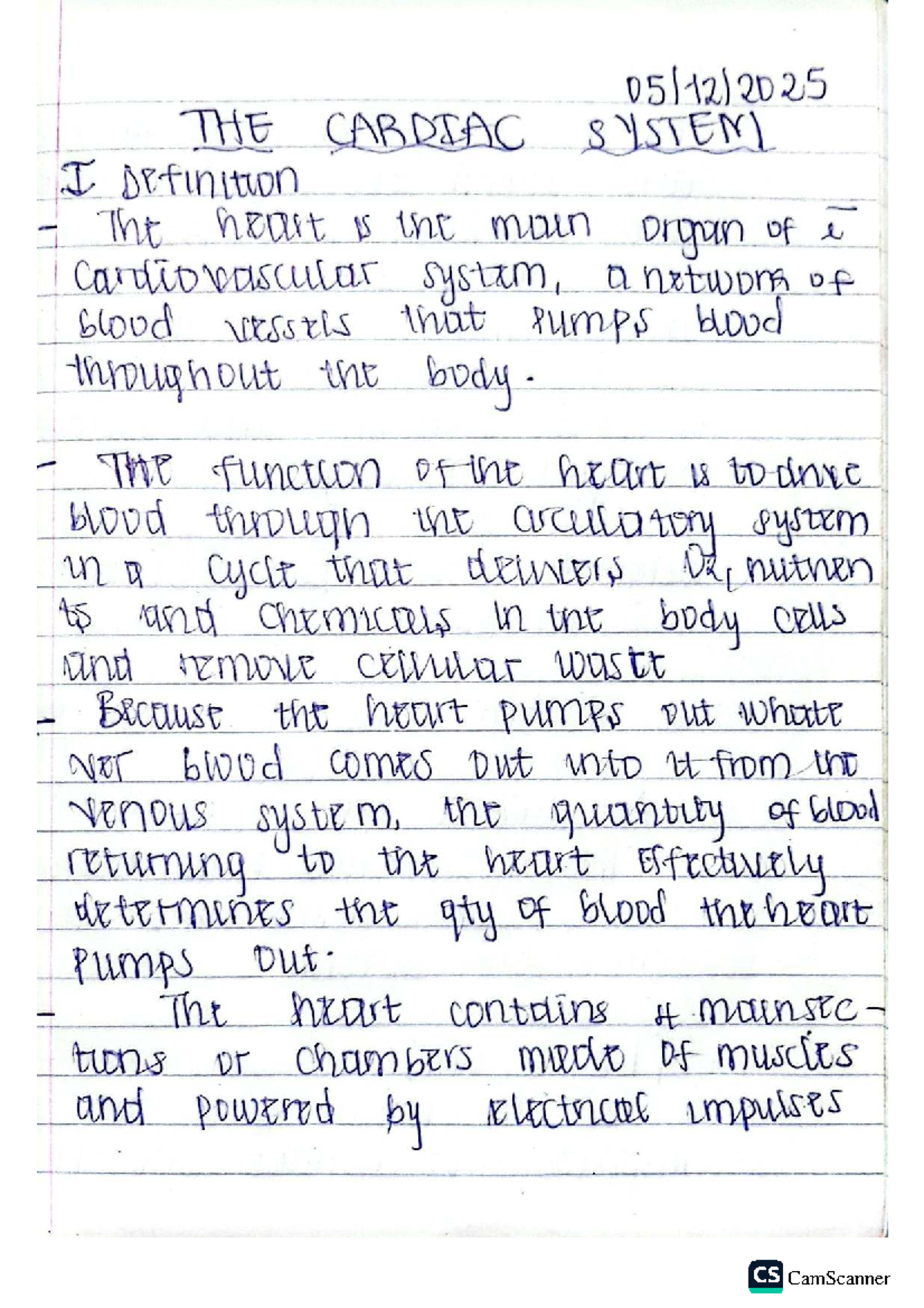 Notes on the Cardiac System (BIO 101) - Structure and Function - Studocu