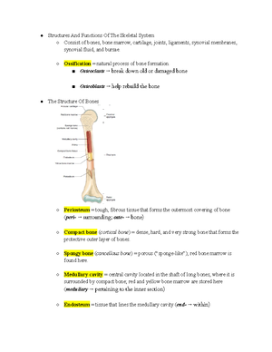 Chapter 1 Introduction to Medical Terminology - The Four Types Of Word ...