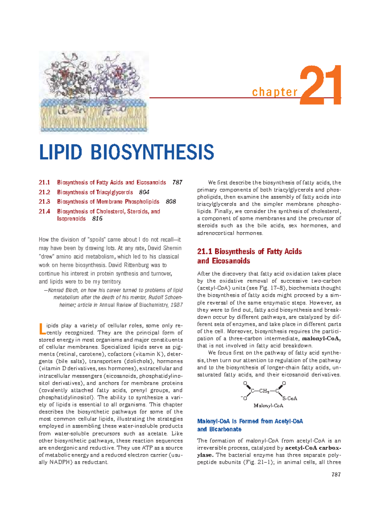 Chapter 21: Lipid Biosynthesis - Fatty Acids, Triacylglycerols, and ...