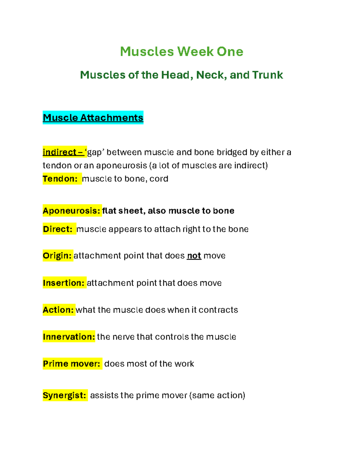 Muscle Anatomy and Functions: Head, Neck, and Trunk Overview - Muscles ...