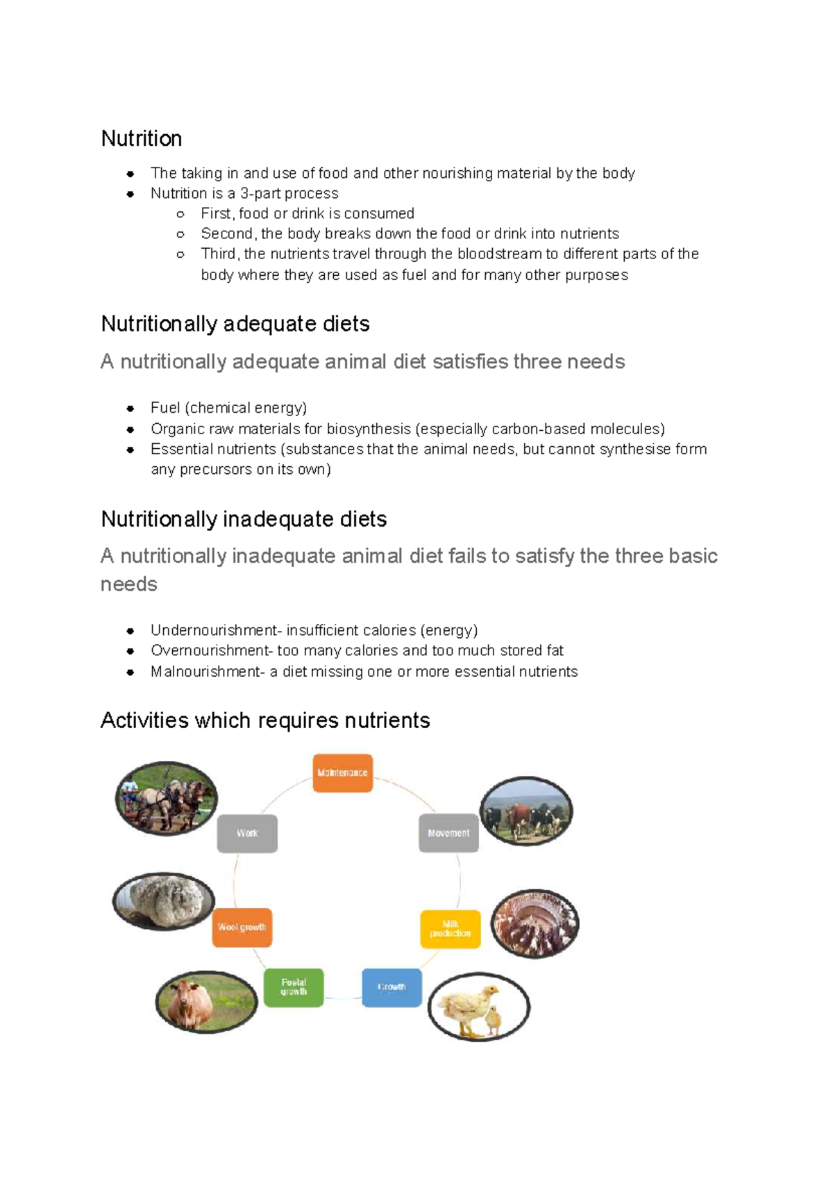 Animal nutrition section 1 ruminant digestive system - Nutrition The ...