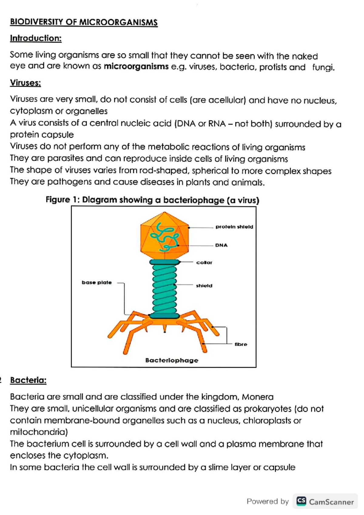 Biodiversity of Micro Organisms - BIODIVERSITY OF MICROORGANISMS ...