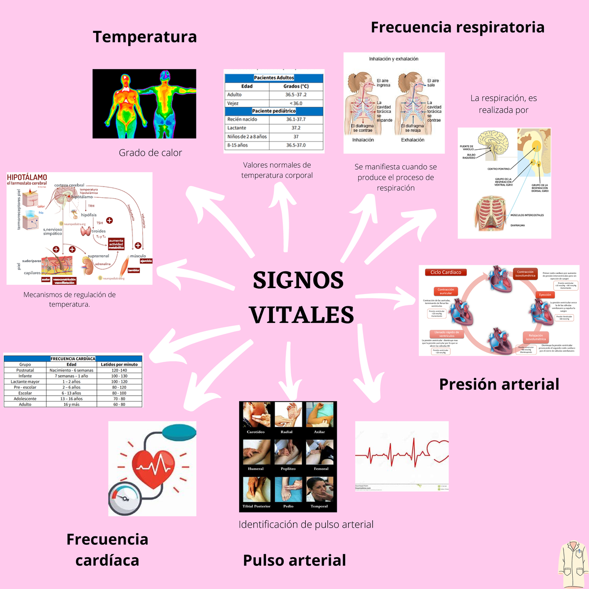 Mapa mental de los signos vitales - Clínica propedéutica - SIGNOS ...
