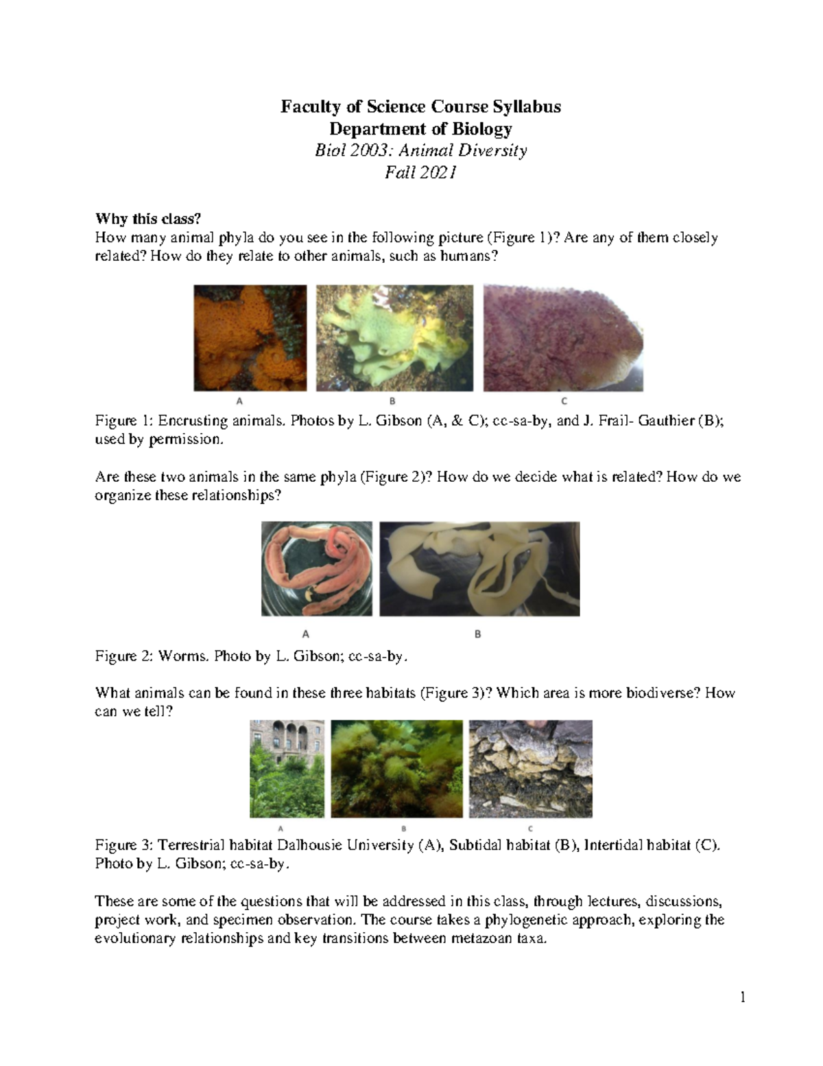 Biol 2003 Fall 2021 Animal Diversity Course Syllabus and Details - Studocu