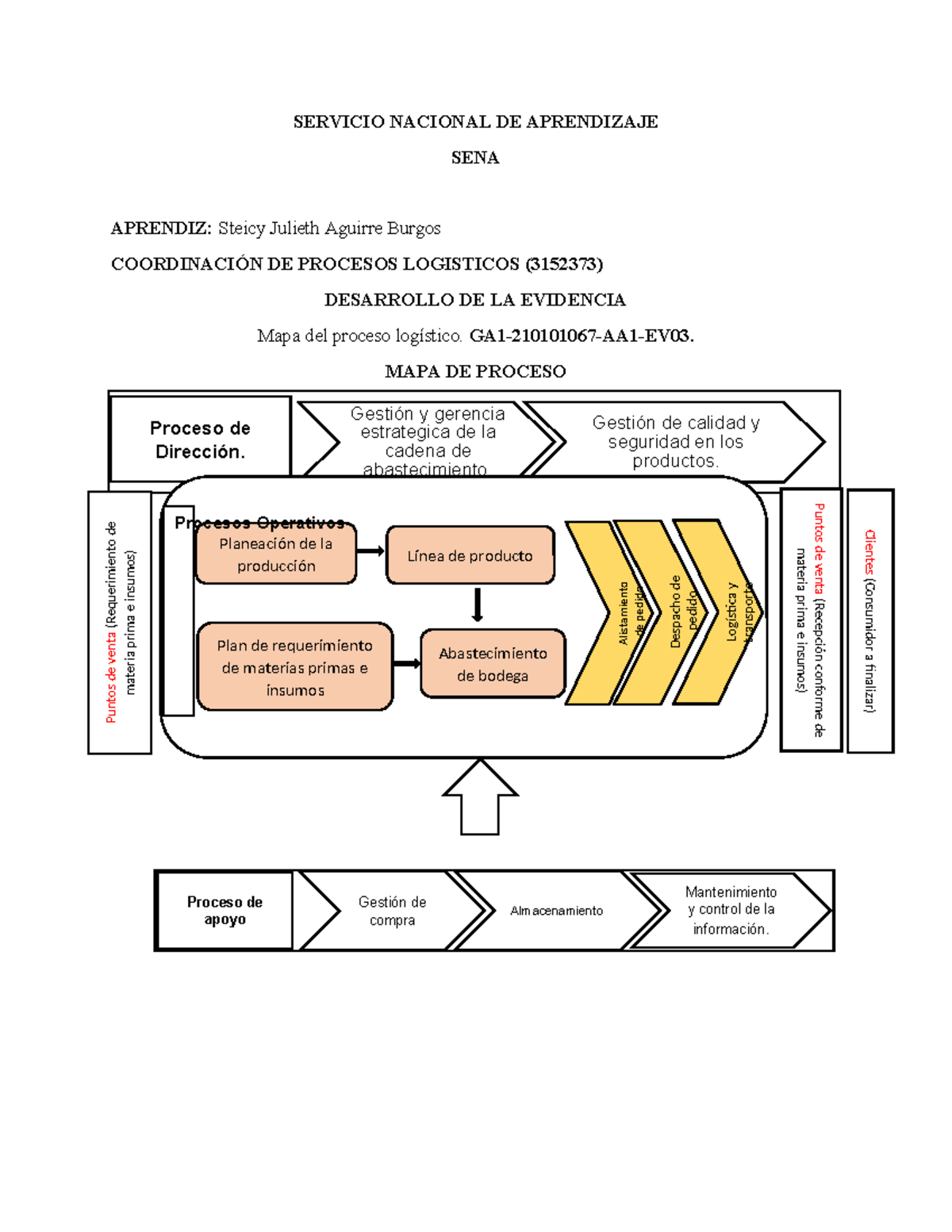 Mapa del Proceso Logístico - Coordinación de Procesos Logísticos ...