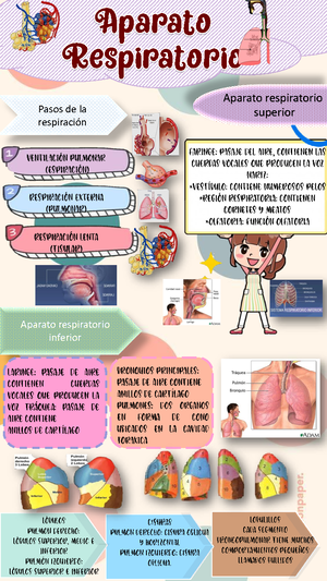 Formulario 051. FORMULARIO PARTOGRAMA - HISTORIA CLÍNICA MATERNA ...