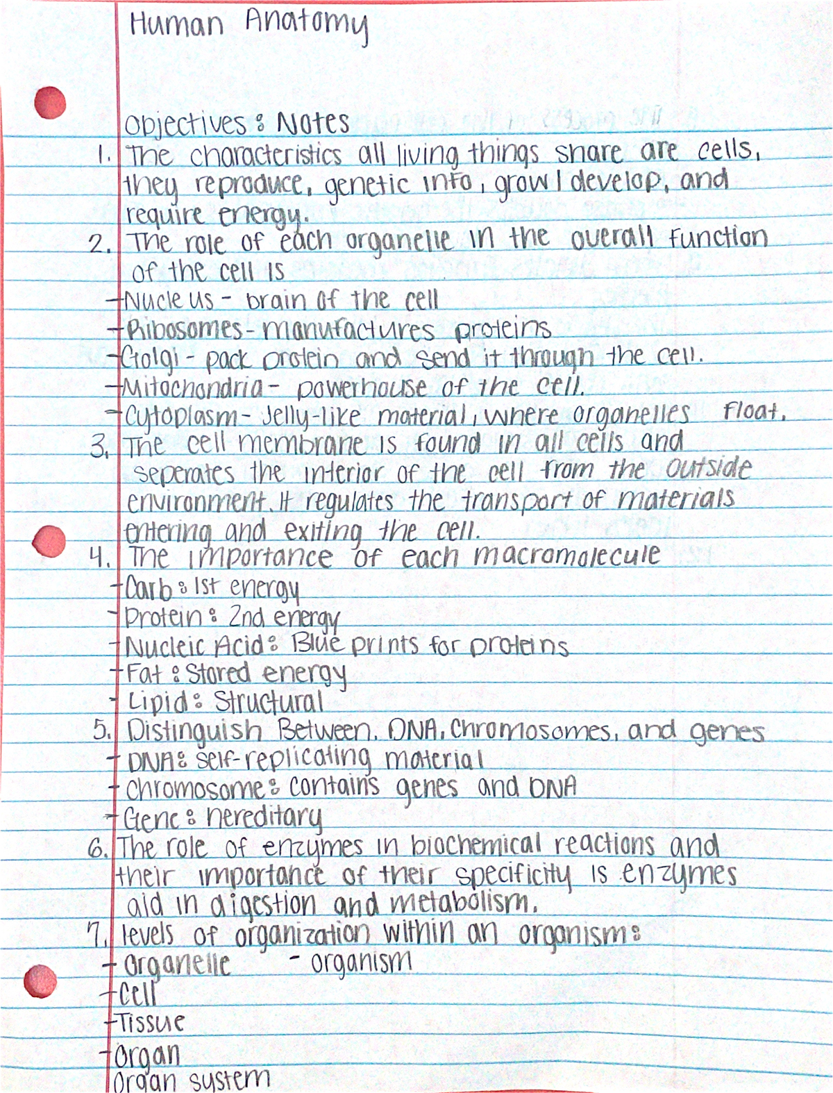 Human Anatomy Lecture Notes - Key Concepts and Objectives - Studocu