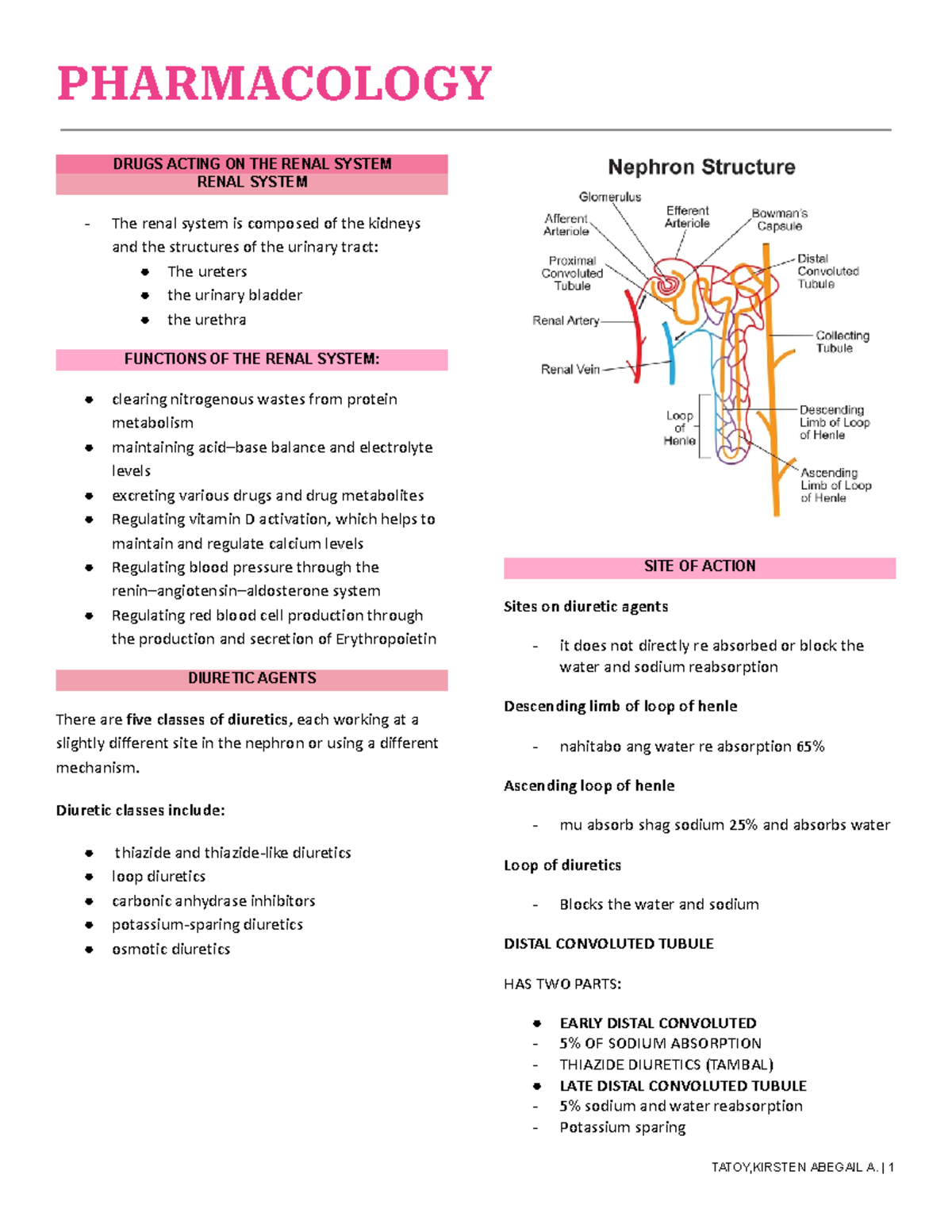 Drugs acting on the renal system - PHARMACOLOGY DRUGS ACTING ON THE ...
