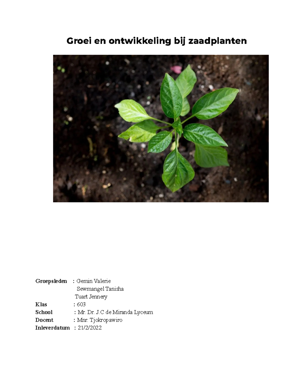 Groei en ontwikkeling bij zaadplanten - Groei en ontwikkeling bij zaadplanten Groepsleden ...