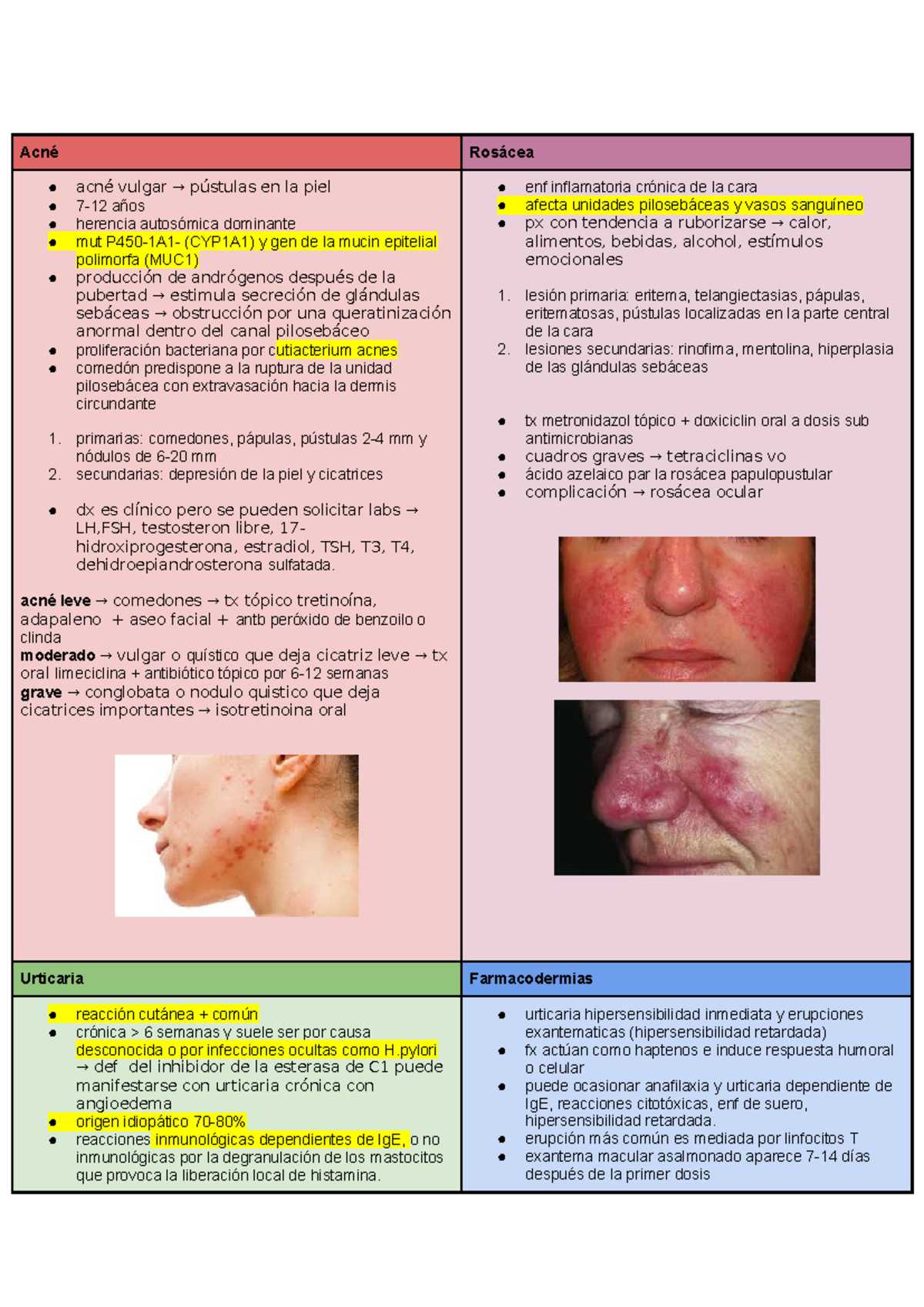 Apuntes de Dermatología: Acné, Urticaria y Neoplasias Cutáneas - Studocu