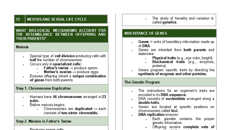 13 MEIOSIS AND SEXUAL LIFE CYCLE: INHERITANCE MECHANISMS EXPLAINED ...