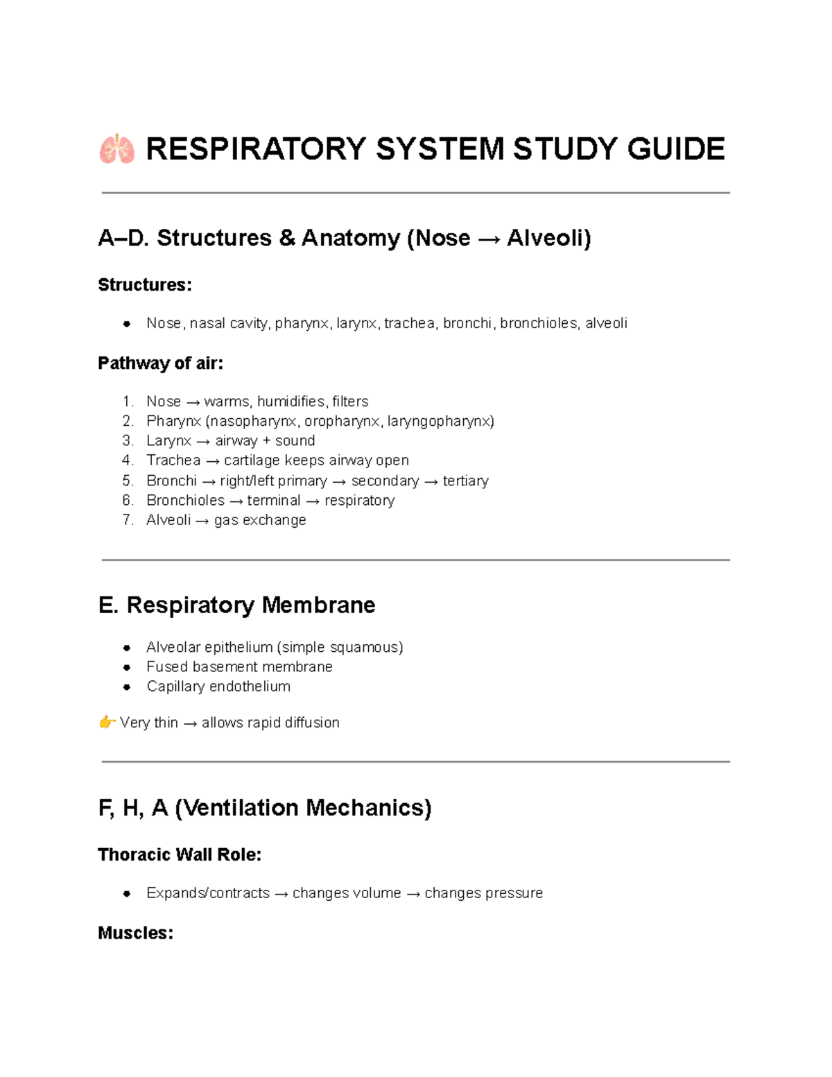 RESPIRATORY SYSTEM STUDY GUIDE: Anatomy & Functions (BIO 101) - Studocu