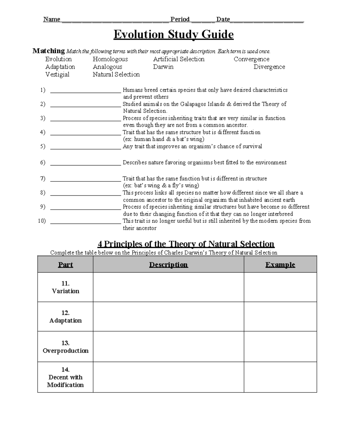 Evolution Study Guide 23-24: Key Concepts & Matching Terms - Studocu