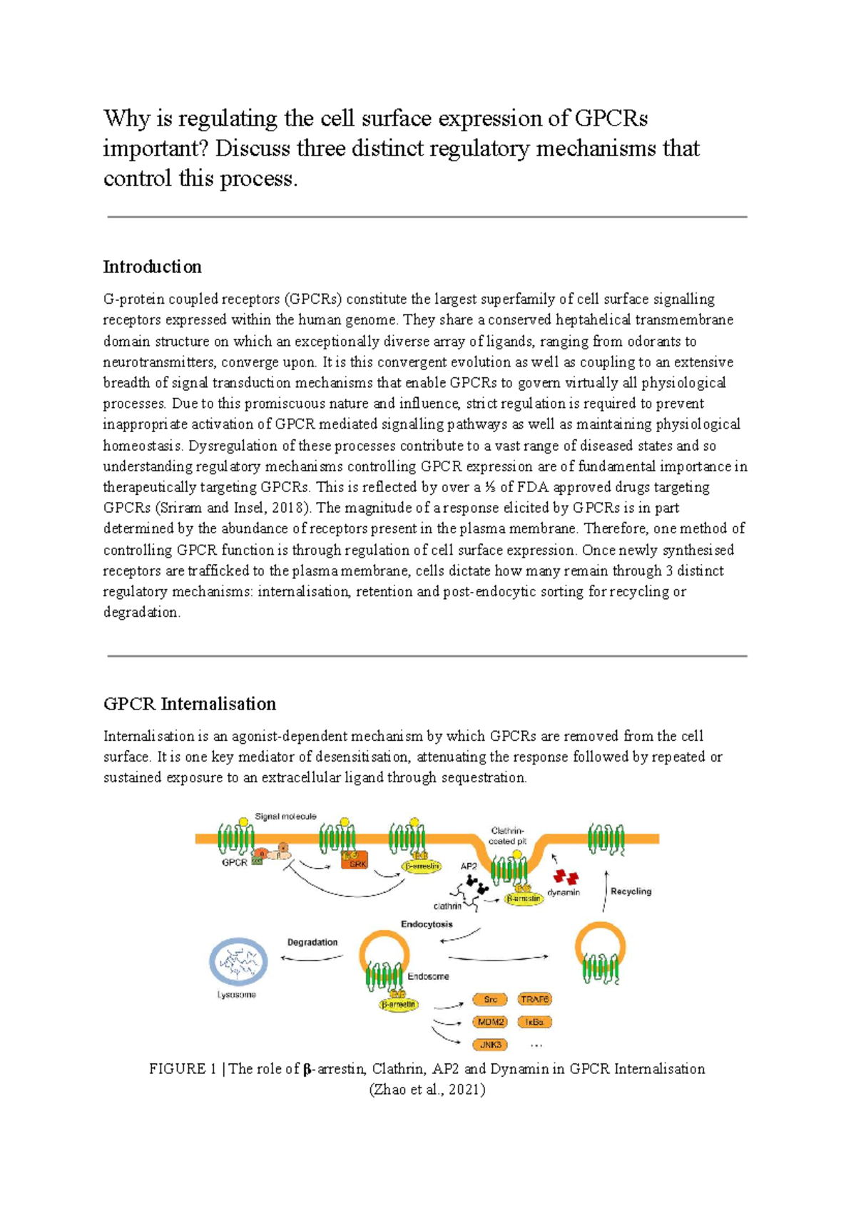 Regulating GPCR Cell Surface Expression: Mechanisms & Importance (RM ...
