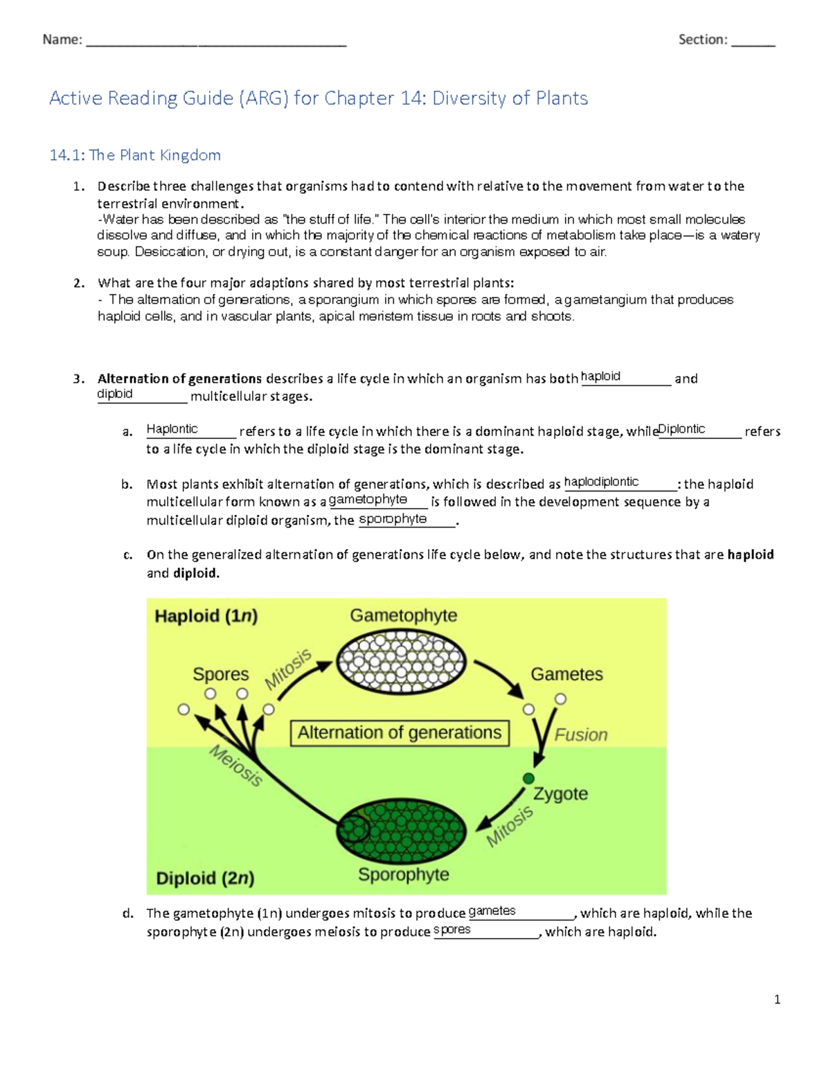 Chapter 14 ARG-2 - N/A - Active Reading Guide (ARG) for Chapter 14 ...