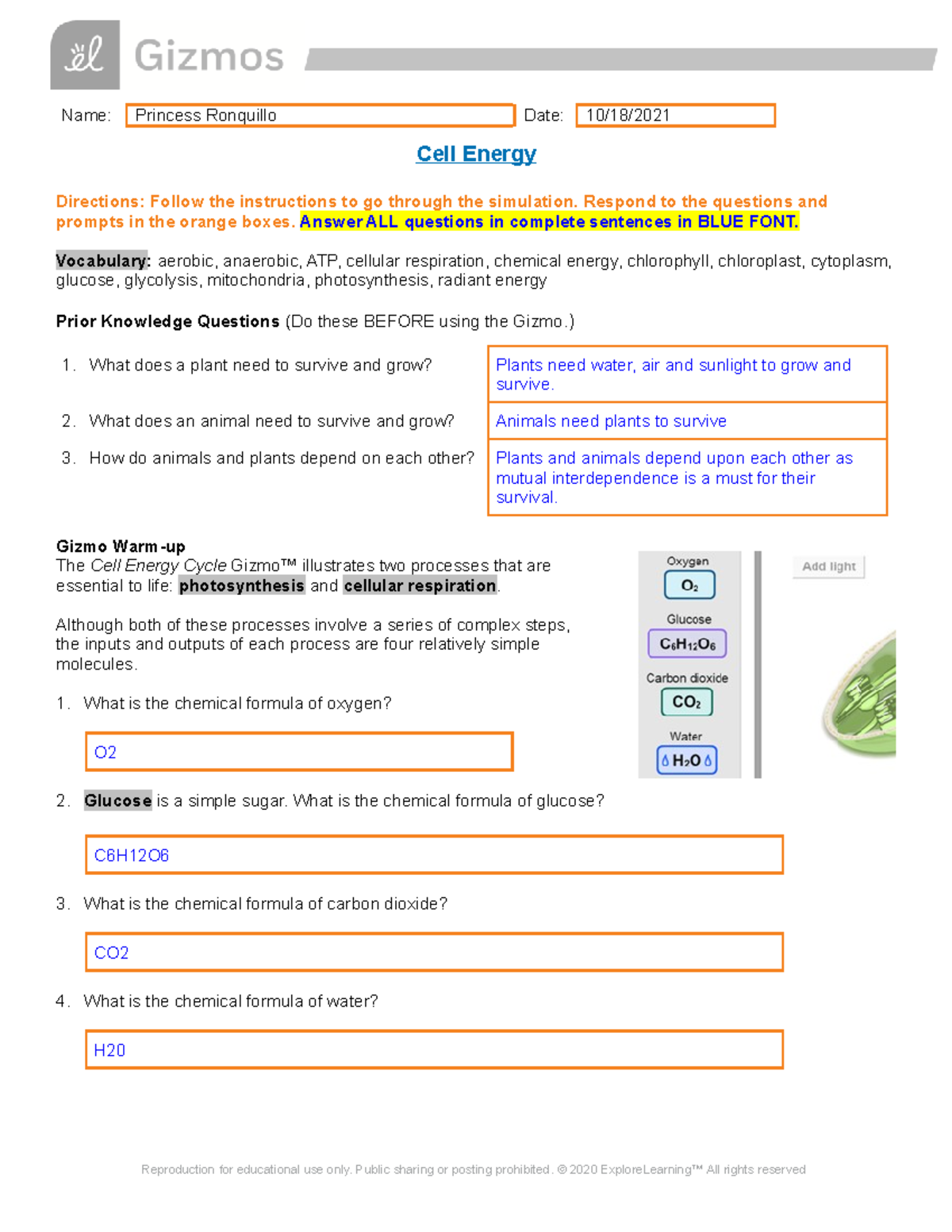 Cell Energy Lab Simulation: Understanding Photosynthesis & Respiration ...