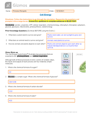 The Unique Properties of Water: Essential for Life (AP Biology) - The ...