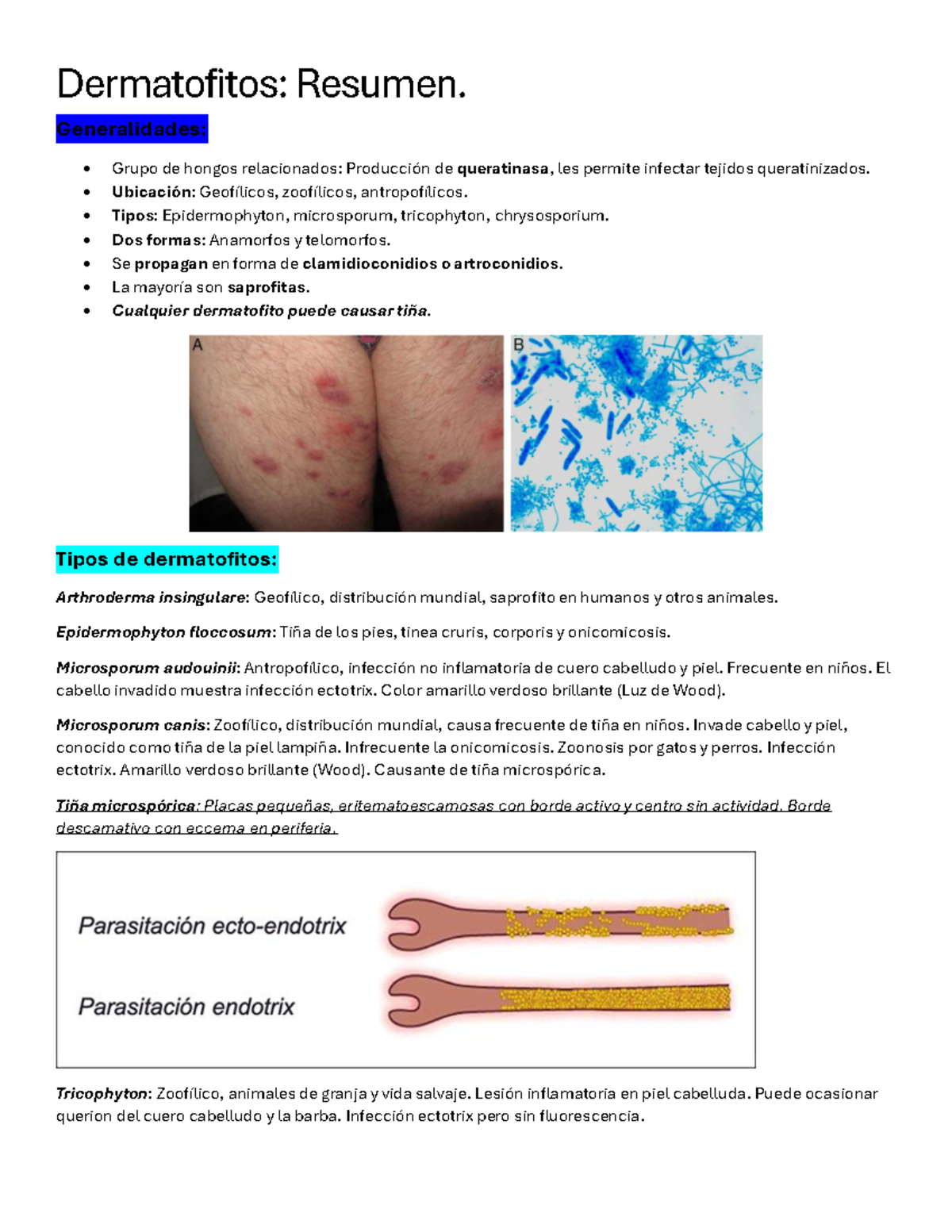 Dermatofitos: Resumen y Generalidades sobre Infecciones Fúngicas - Studocu