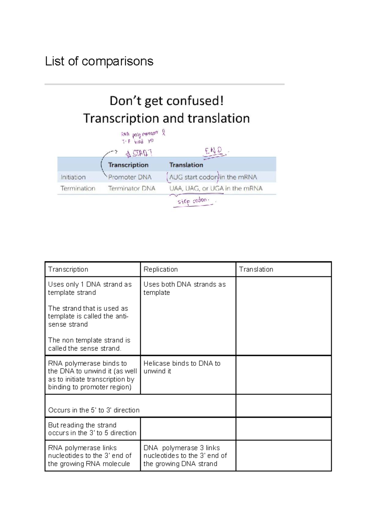 DNA Notes for IB: Transcription, Replication, and Gene Expression - Studocu
