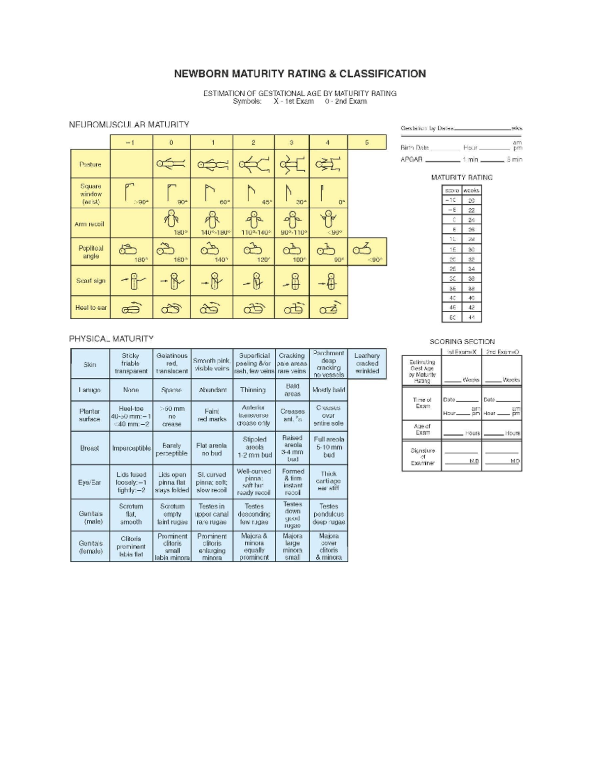Ballard Score - Newborn Maturity Rating Estimation Notes - Studocu