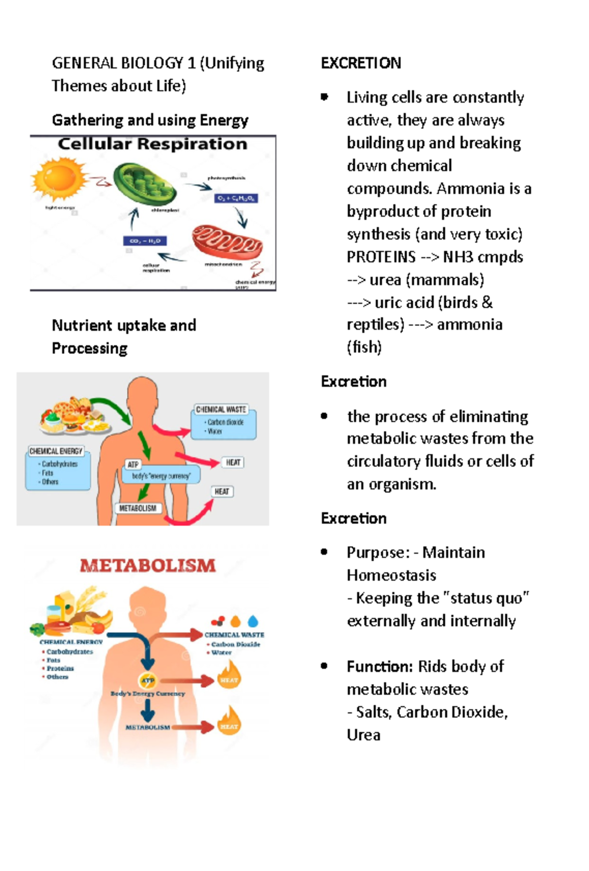 Unifying Themes About LIFE - GENERAL BIOLOGY 1 (Unifying Themes about ...