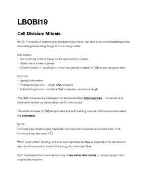 M12 Endocrine Anatomy & Histology: Key Concepts and Cell Types Summary ...