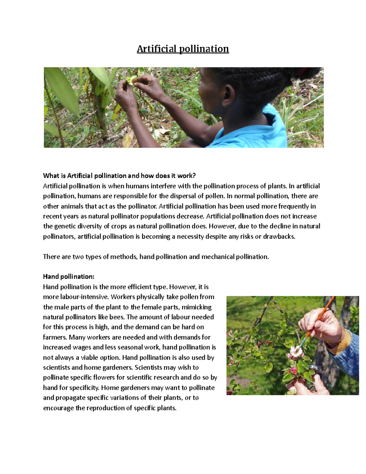 Artificial Pollination: Methods, Benefits, and Drawbacks Explained ...