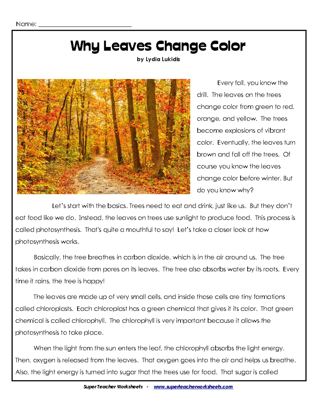 Why Do Leaves Change Color In The Fall Worksheet