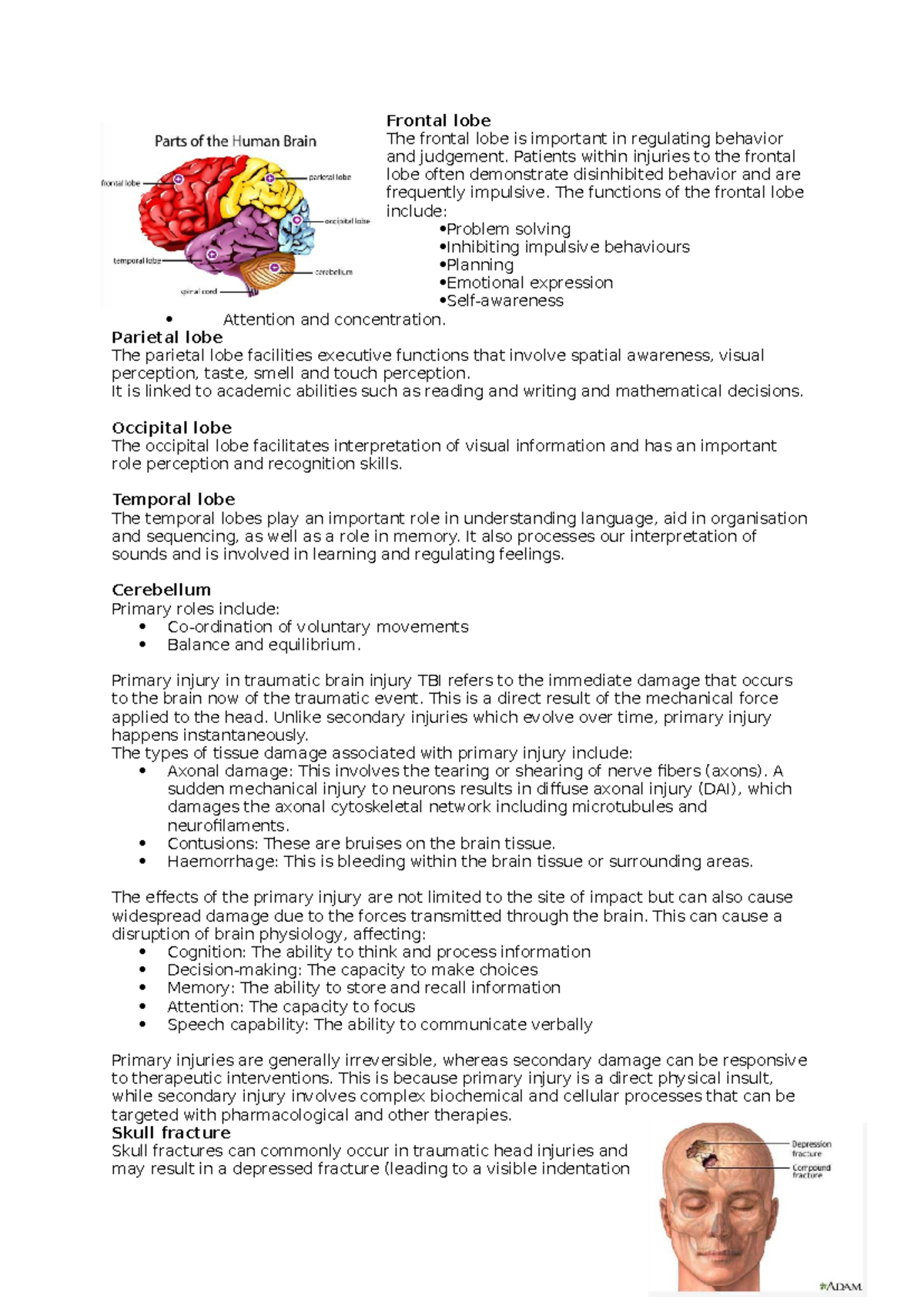 Frontal Lobe & Brain Injury: Key Insights on ICP Management - Studocu