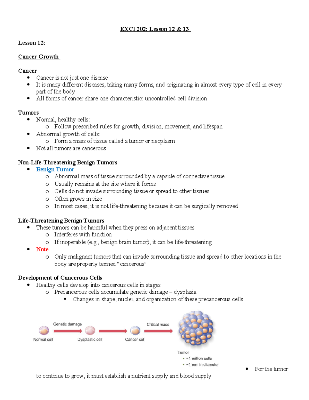 EXCI 202: Lesson 12 & 13 - Cancer Growth, Prevention, and Treatment ...
