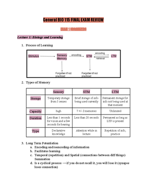 Copy of Biology Notes - Biology Notes: Freshman Year MidTerm Review ...