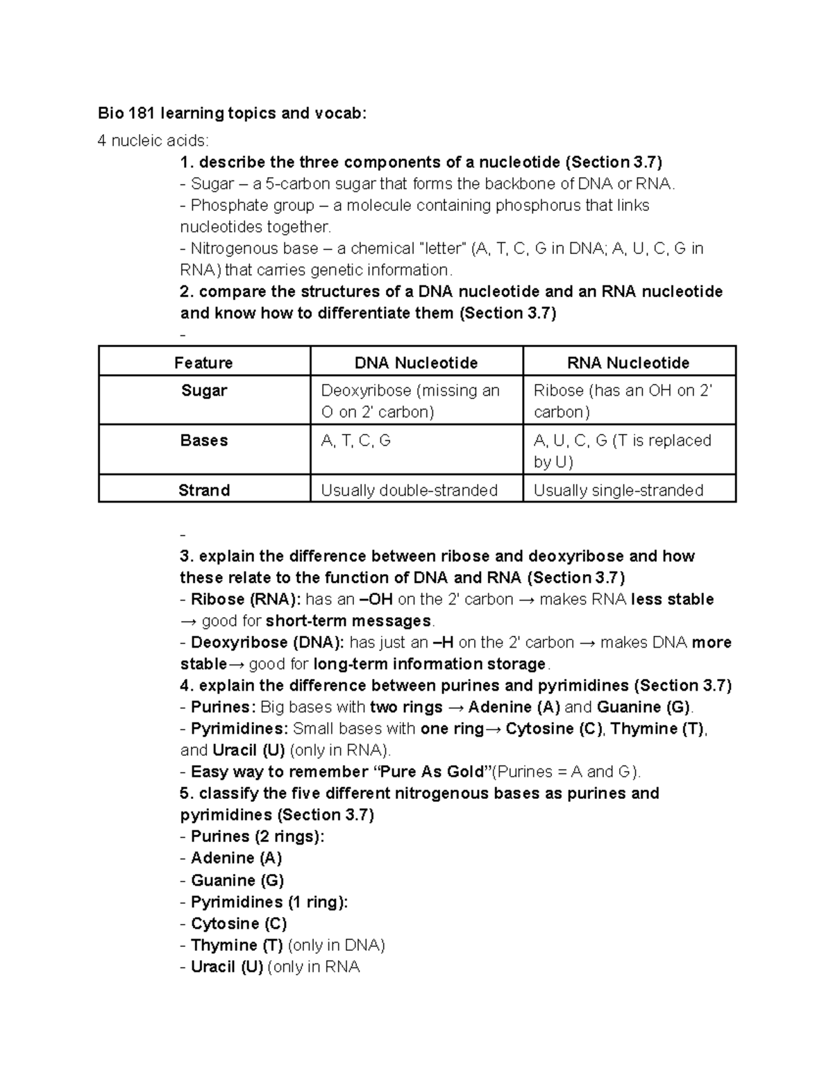 Bio 181: Overview of Gene Expression, Transcription & Translation - Studocu