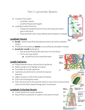 Anatomy & Physiology 111: Comprehensive Prelim Reviewer Notes - Studocu